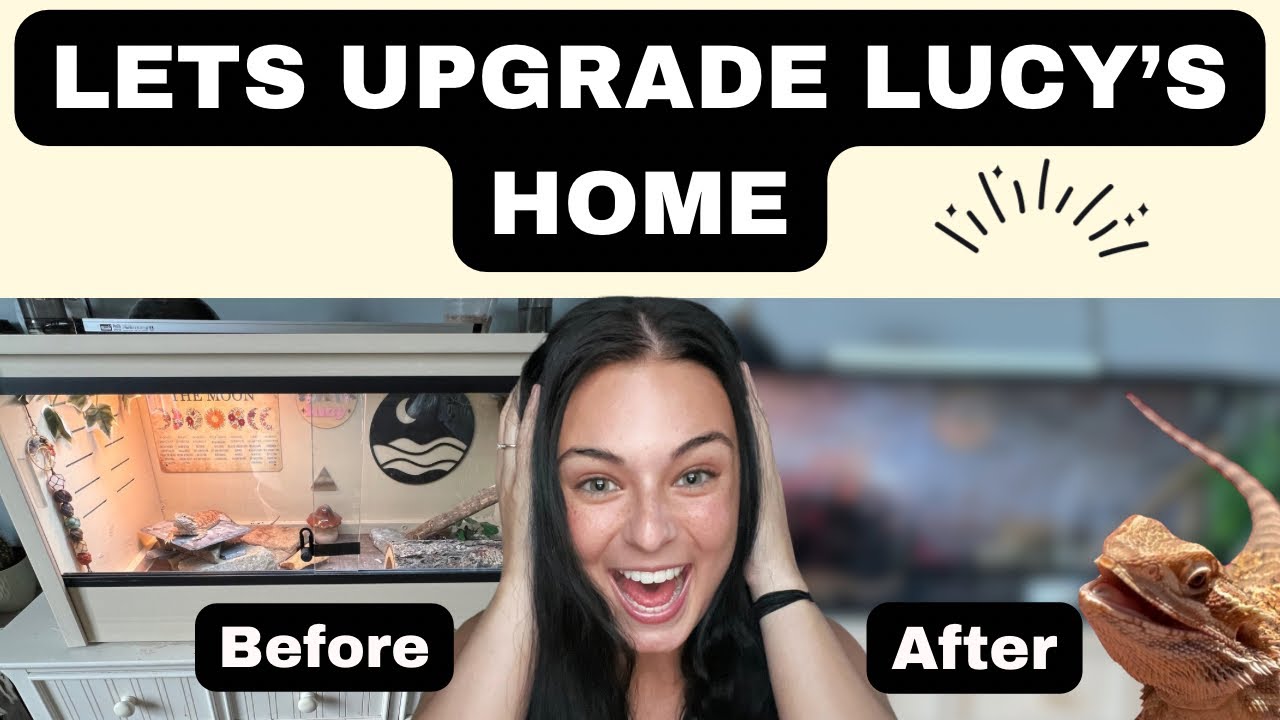 My Bearded Dragon Gets an Epic Upgrade!