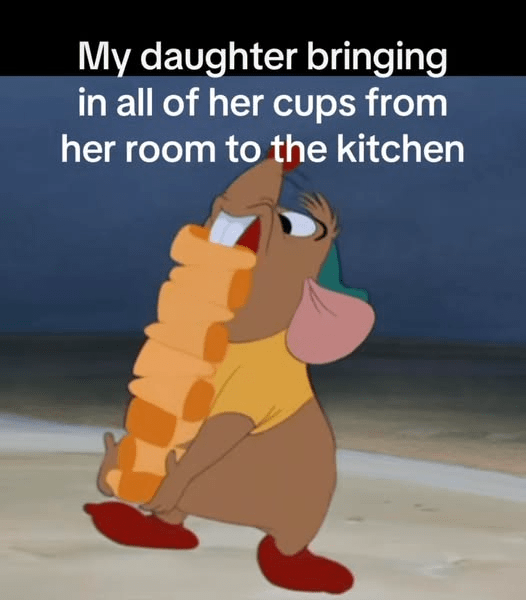 30 Disney Memes That Are Just as Magical as the Parks