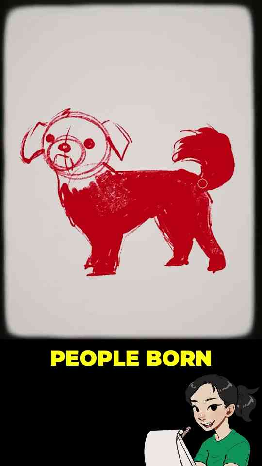 How to Draw a Dog – Easy Chinese Zodiac Animal Tutorial