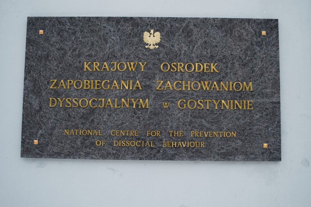 Prof. Heitzman: Ośrodek w Gostyninie ma leczyć z tego, co jest ...