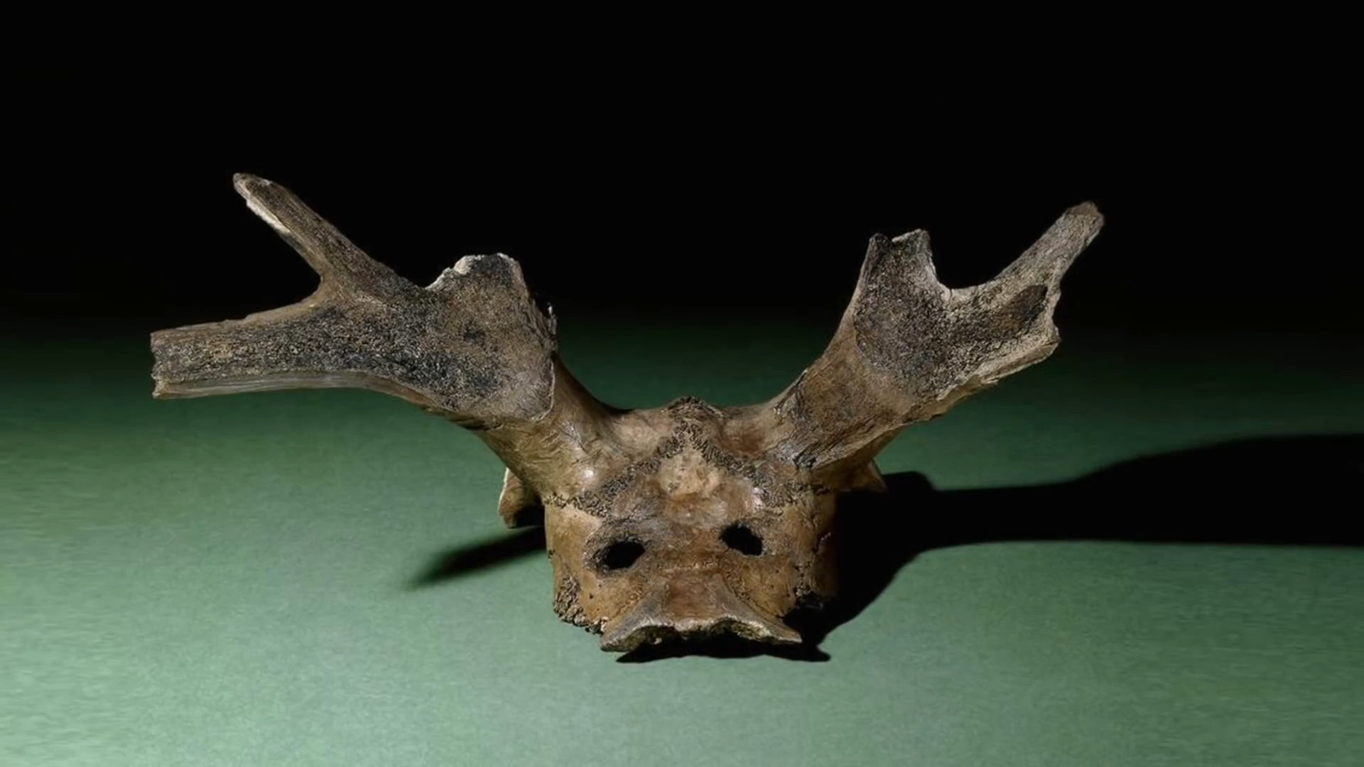 The 11,000-Year-Old Deer Skull Headdresses of Star Carr