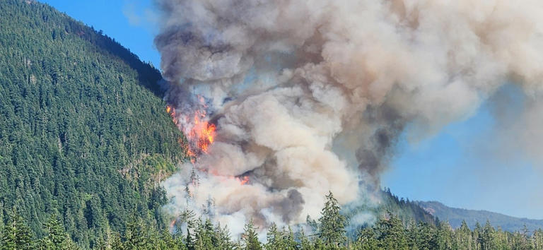 Wildfire near Port Alberni, B.C., triggers evacuations, road closure
