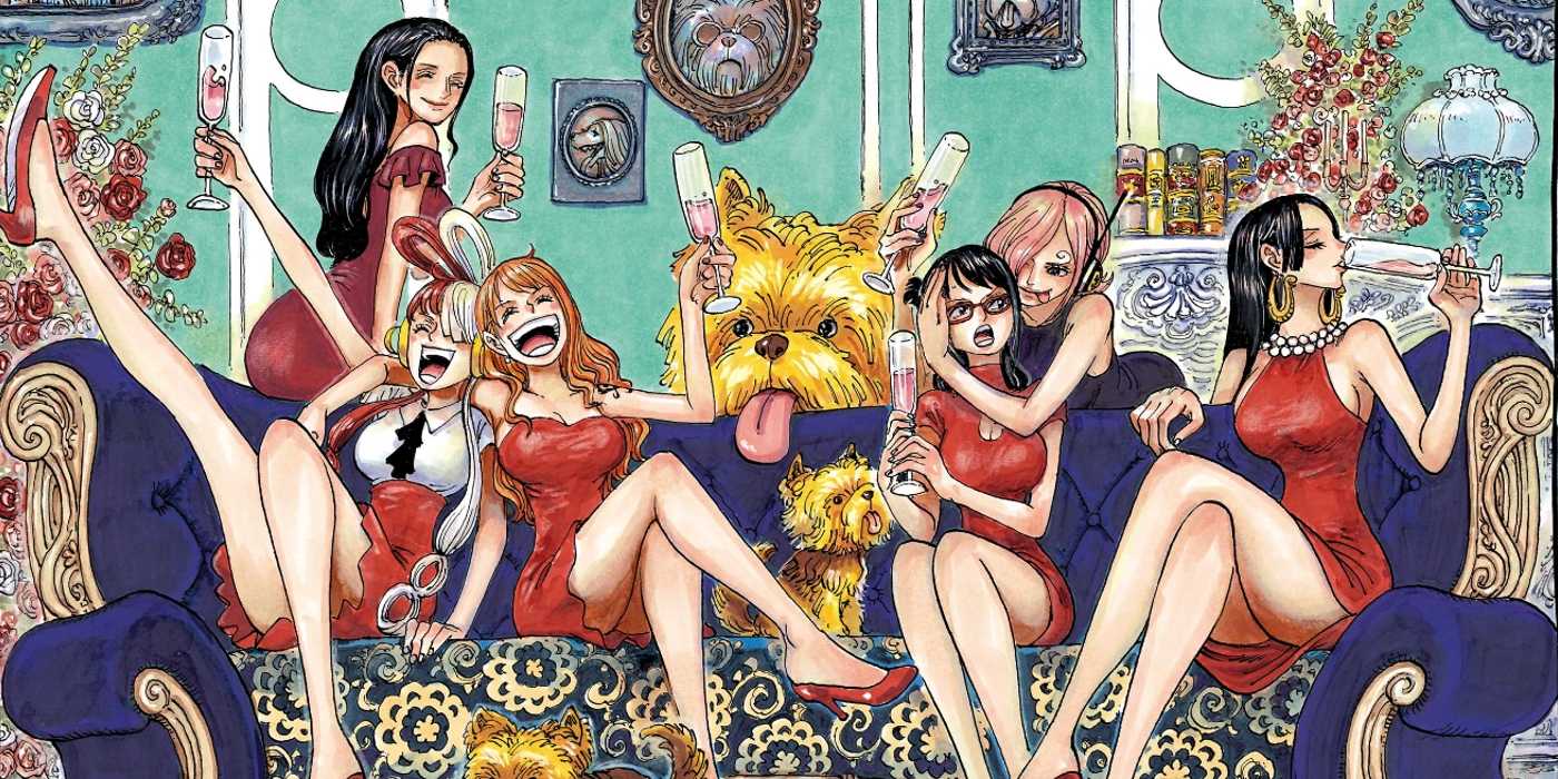 One Piece Heroines Anime Announced After 4 Year Wait