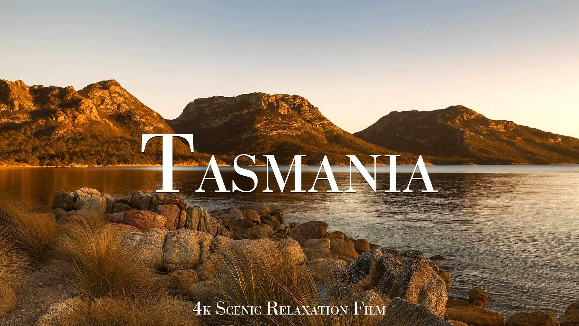 A Quiet Look at Wombats, King Island, Freycinet, and Coles Bay ...