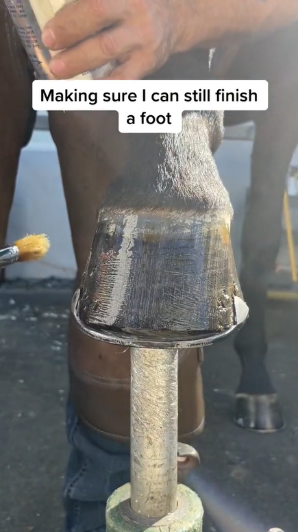 Horse Hoof Transformation: Watch This Expert Farrier in Action