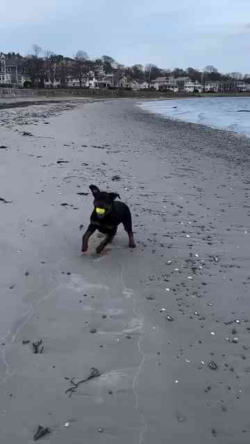 Pretty little baby Just look at that face!