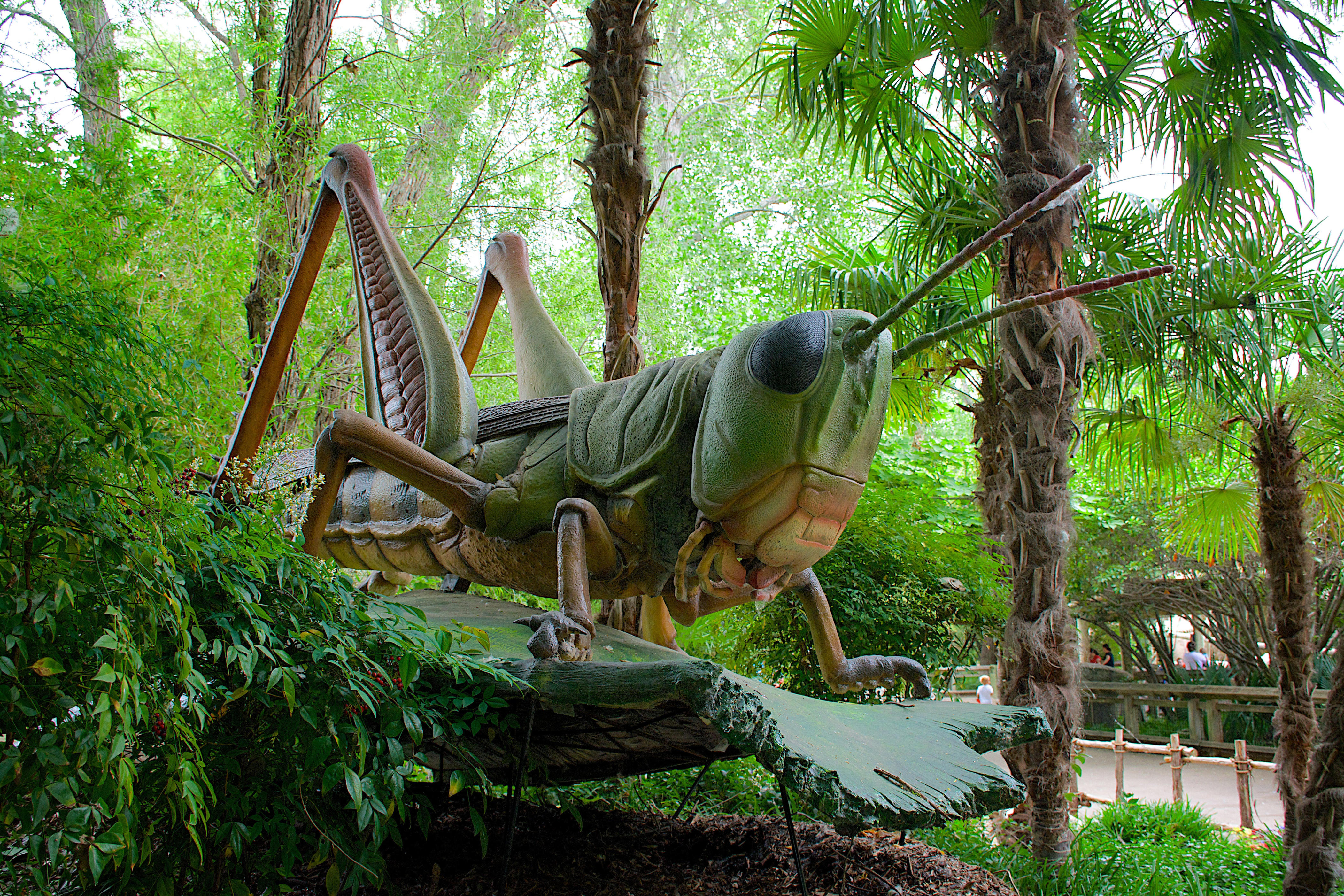 Columbus Library’s giant bugs to return Aug. 12