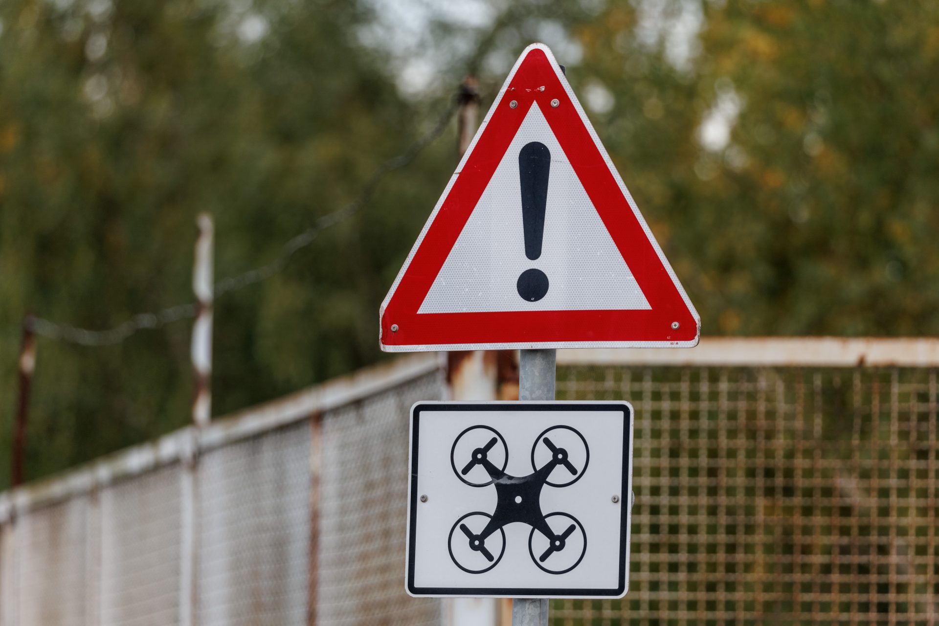 Leonardo DiCaprio Has A Penchant For Real-Life Danger