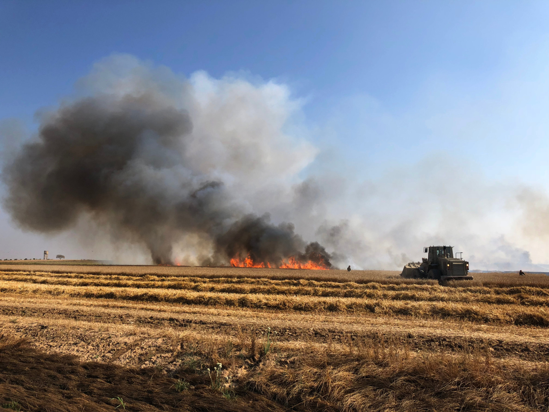 Agroterrorismo é real: Qual o tamanho da ameaça?