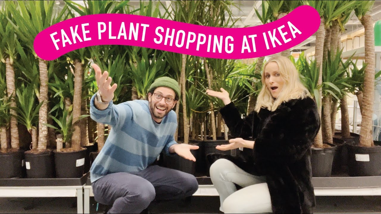 Shop IKEA for fake plants with 5 essential expert tips