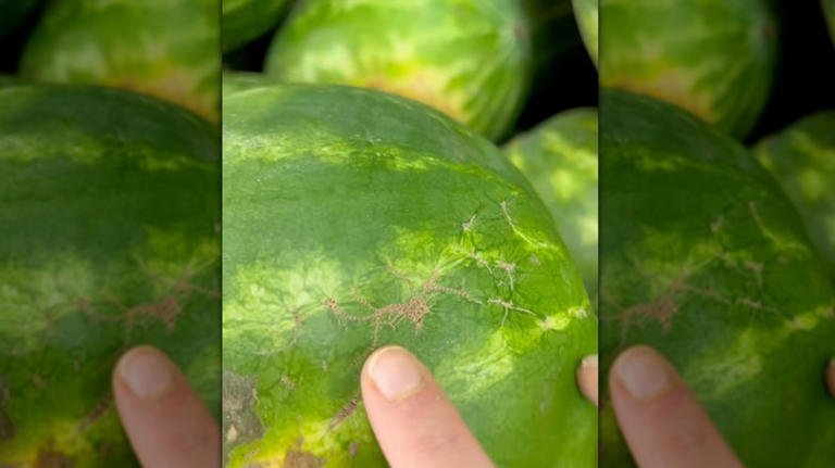 Picking The Best Watermelon: 6 Rind Patterns To Look Out For