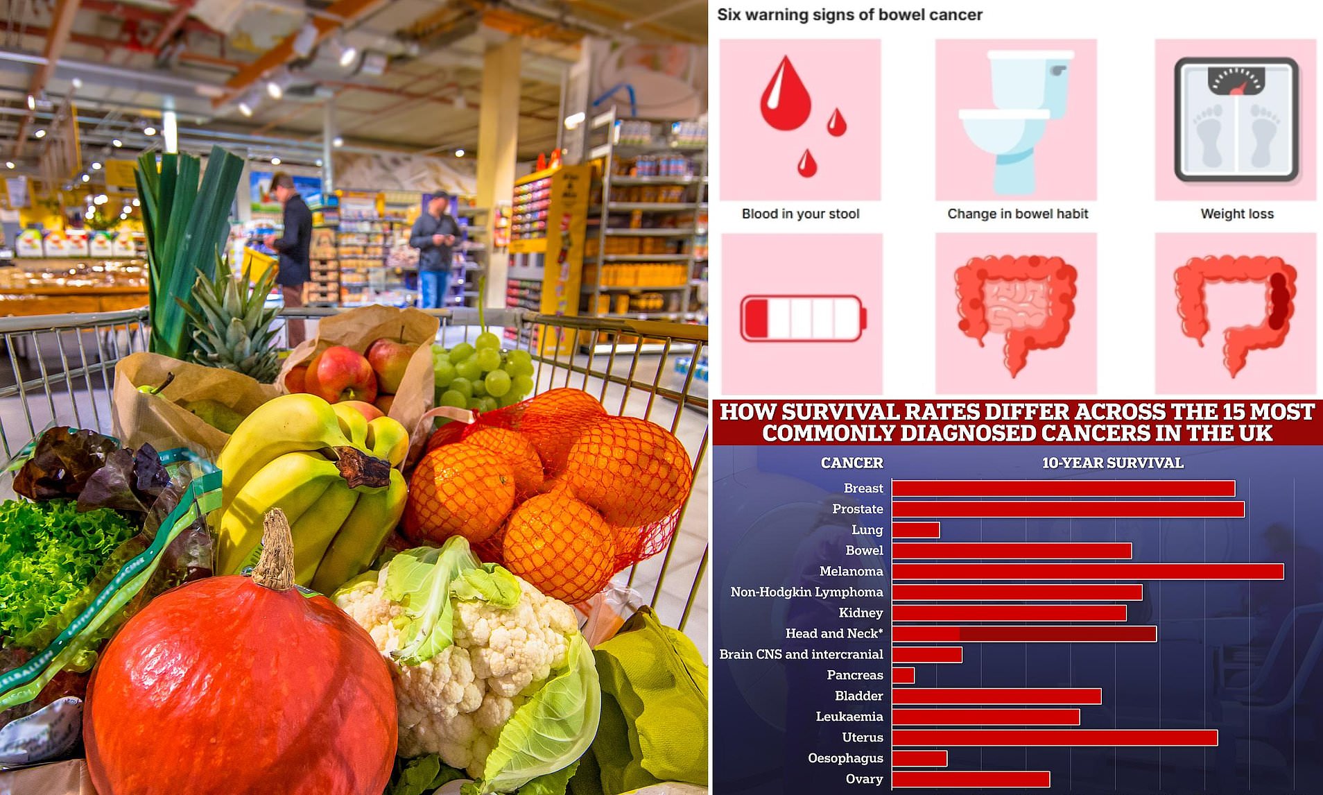 Going vegan could slash risk of two top cancer killers by up to 25 per ...