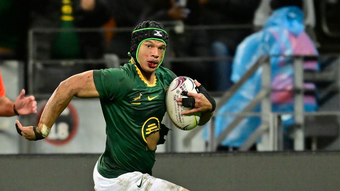 Springboks look to keep momentum with new-look team against Italy