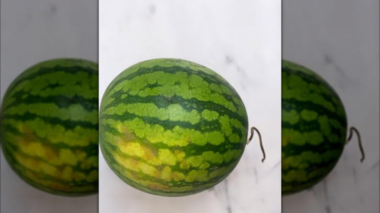 Picking The Best Watermelon: 6 Rind Patterns To Look Out For
