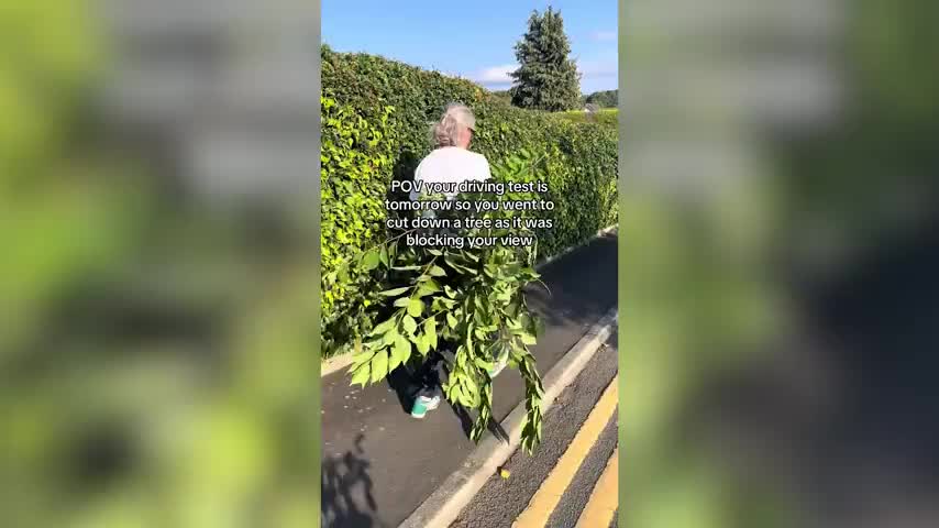 Gen Z Woman Sees Problem Before Driving Test, Mom Knows What To Do