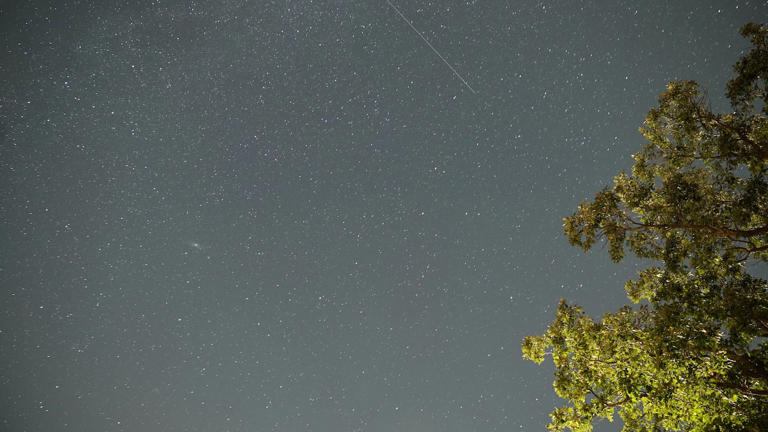 Hoping to catch the Perseid meteor shower in the GTA? What to know for ...