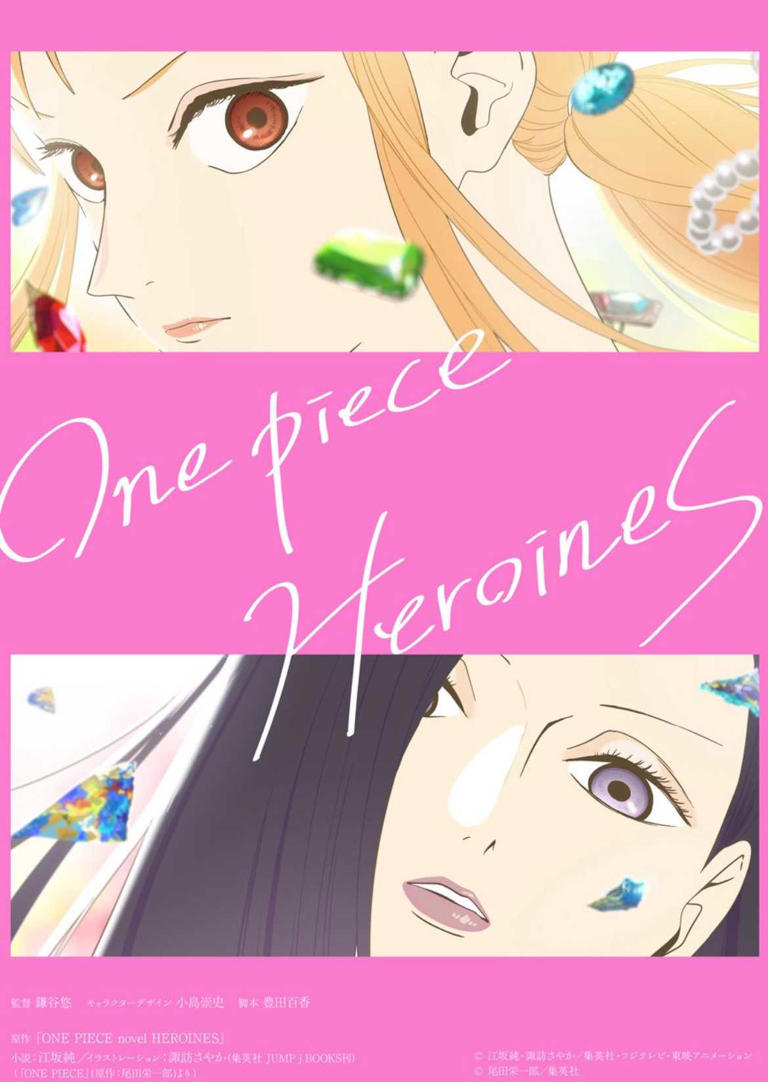 One Piece Heroines Anime Announced After 4 Year Wait