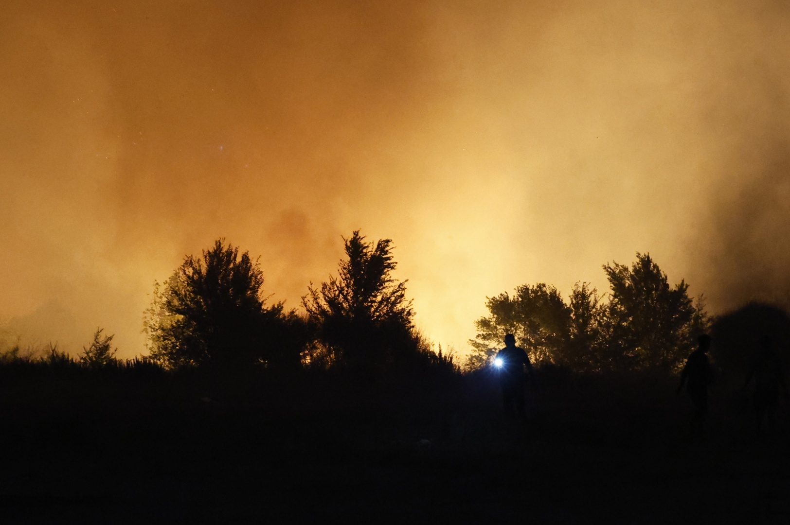¿Qué significa que un incendio se declare nivel 0, 1, 2 o 3?