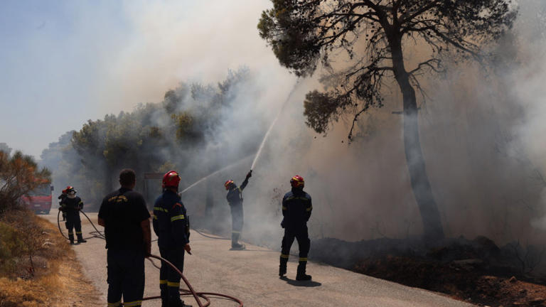 Pixxel, PierSight, Satsure & Dhruva to build India’s first PPP-led EO ...