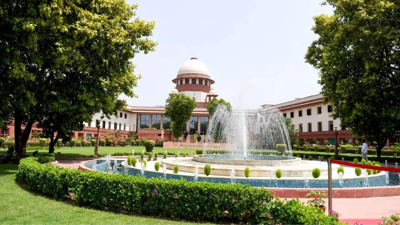 Nitish Katara murder case: Supreme Court rules no jail beyond fixed ...