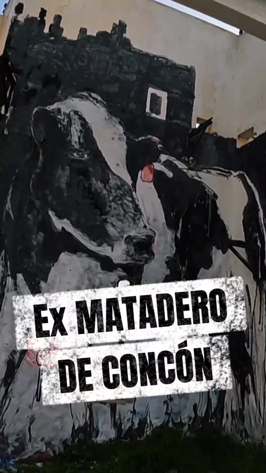Ex Matadero de Concón – Un Lugar que Aún Guarda Dolor Entre sus Paredes