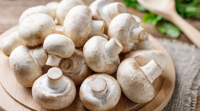 Mushroom: Mushrooms look amazing, but are they safe or not? Find out ...