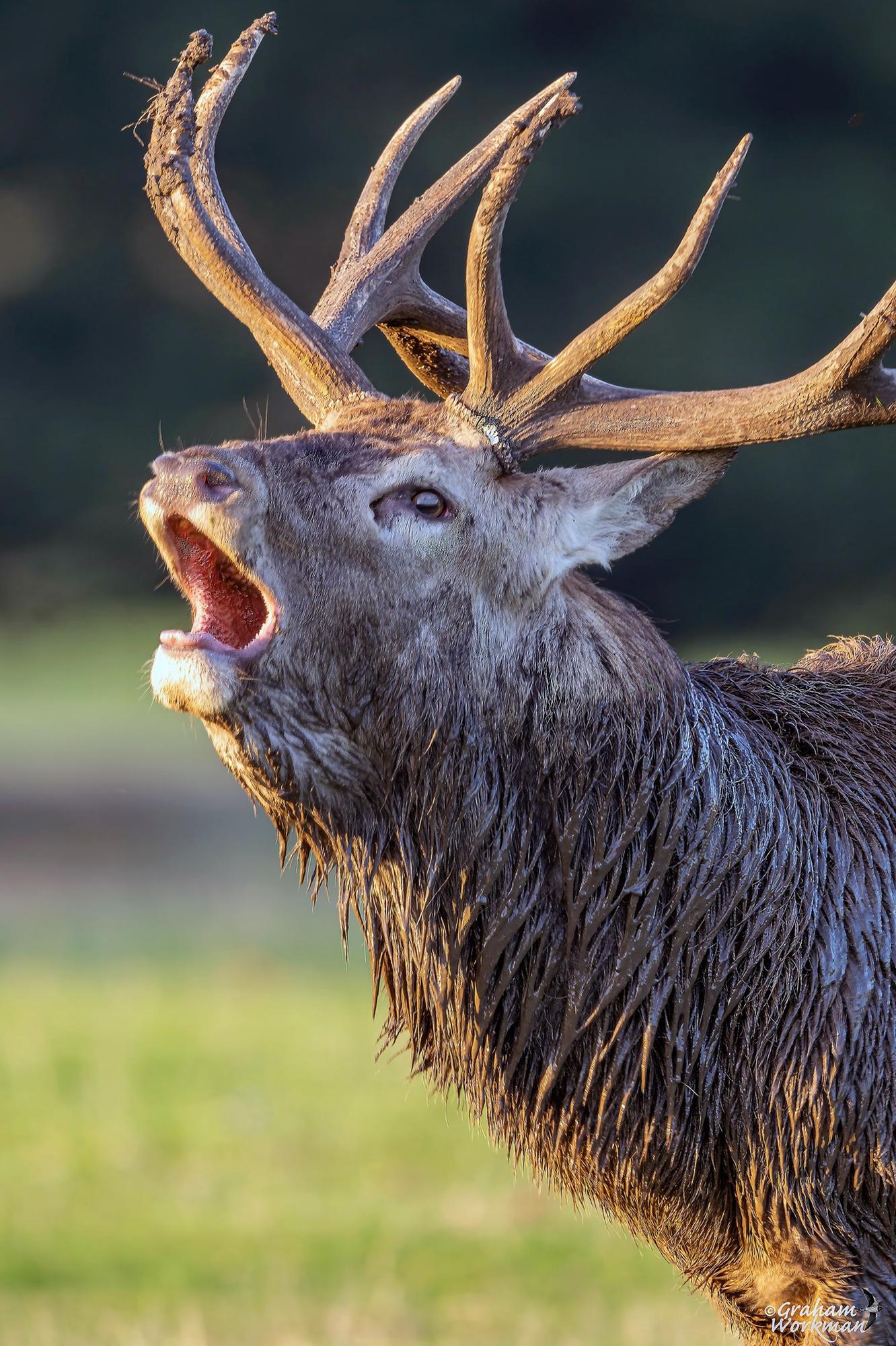 Graham Workman: Autumn is on its way