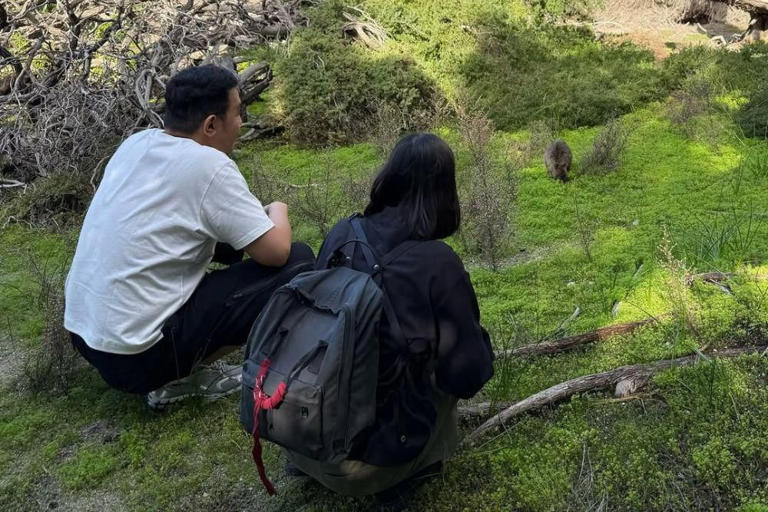 Dirumorkan Pacaran, Ini 6 Fakta Hubungan Tulus dan Dere