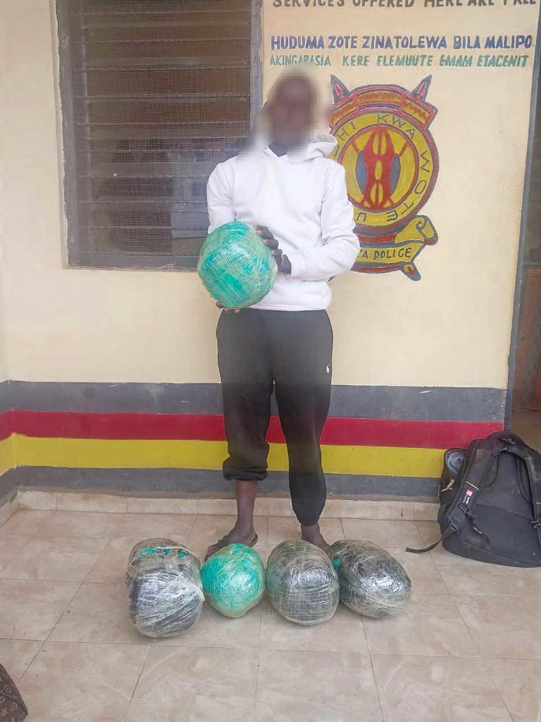 Mombasa: Police intercept bus, arrest man over 90kg bhang disguised as ...