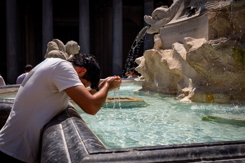 The rich, star-studded legacy of French-American heritage