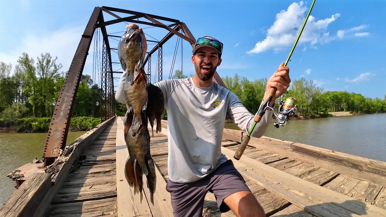 Big fish found under old bridge for catch and cook