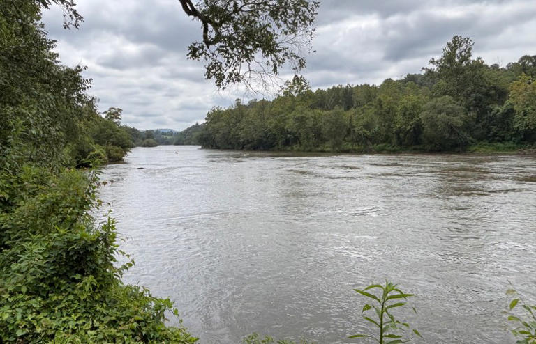 Answer Man: Where does E. coli in the French Broad, Swannanoa rivers ...