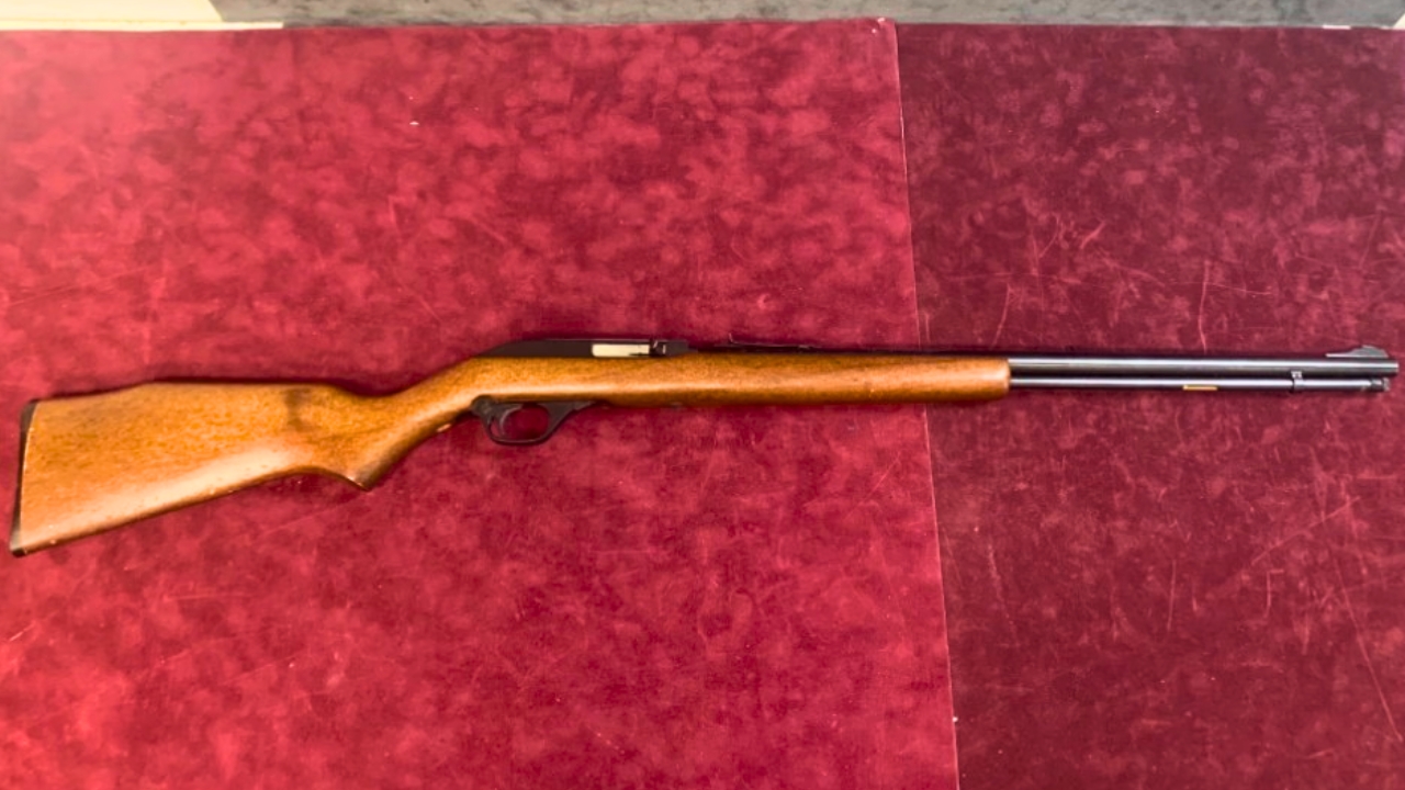 The most reliable .22 rifles for small game