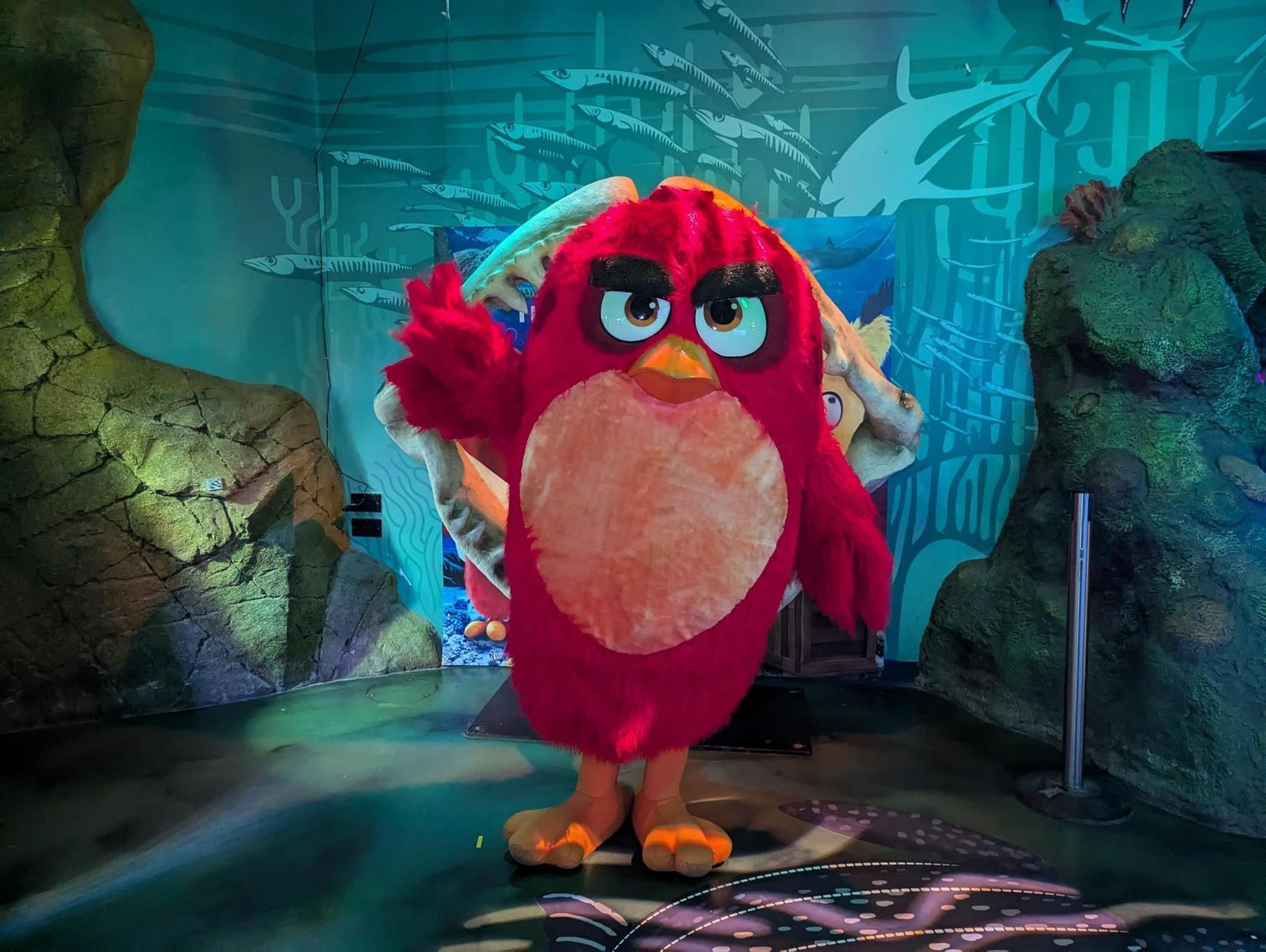 Angry Birds make a splash at SEA LIFE Scarborough this summer