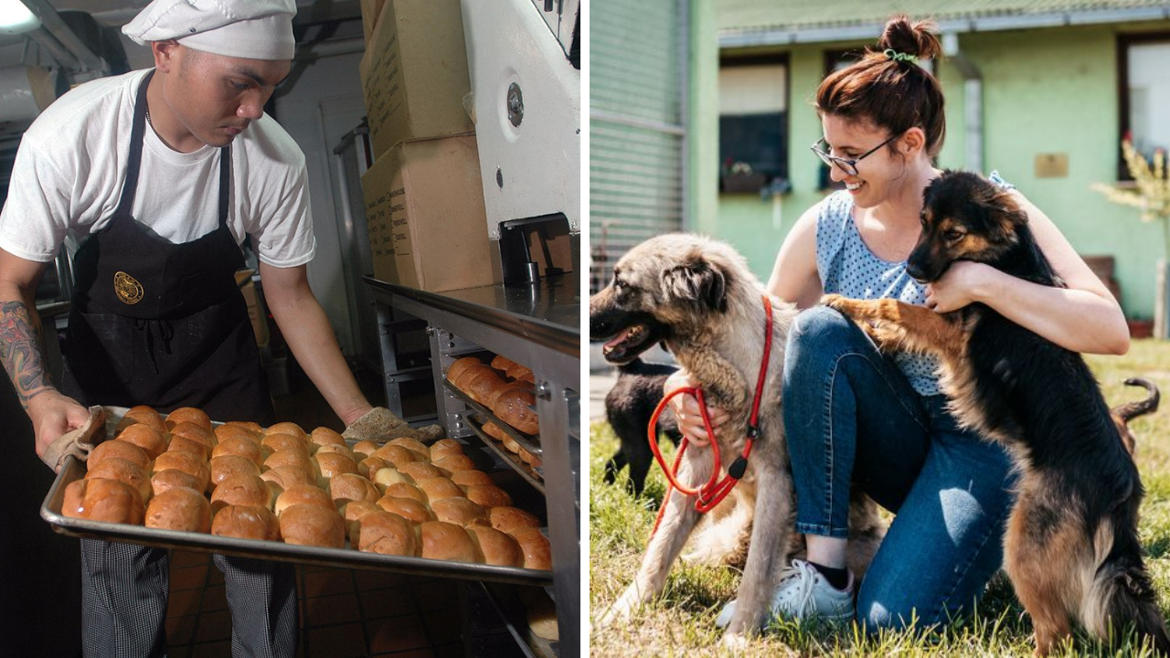 People share jobs that are way less fun than you’d think