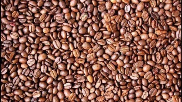Optical illusion: A viral coffee bean puzzle dares you to find the ...