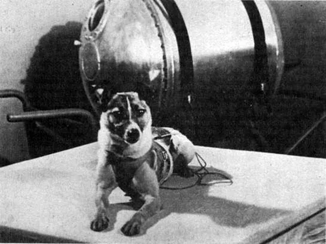 27 Historic Firsts That Changed Space Exploration Forever