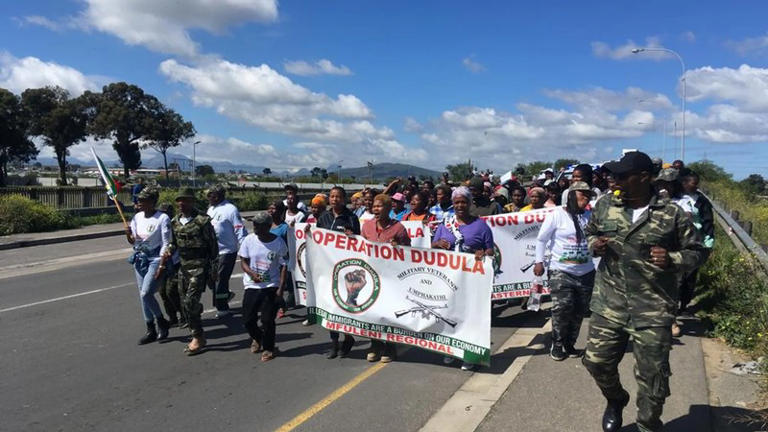 South Africa's education chairperson condemns Operation Dudula's vigilante actions