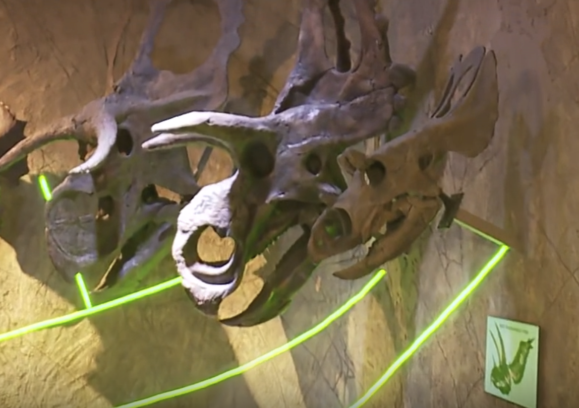Arizona Museum of Natural History celebrates one final Dinosaurs After Dark