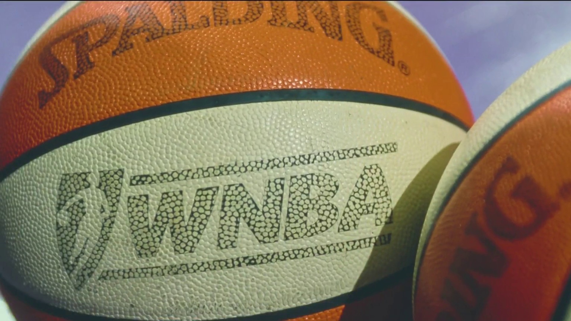 N.Y. police searching for suspect accused of throwing sex toy at WNBA game