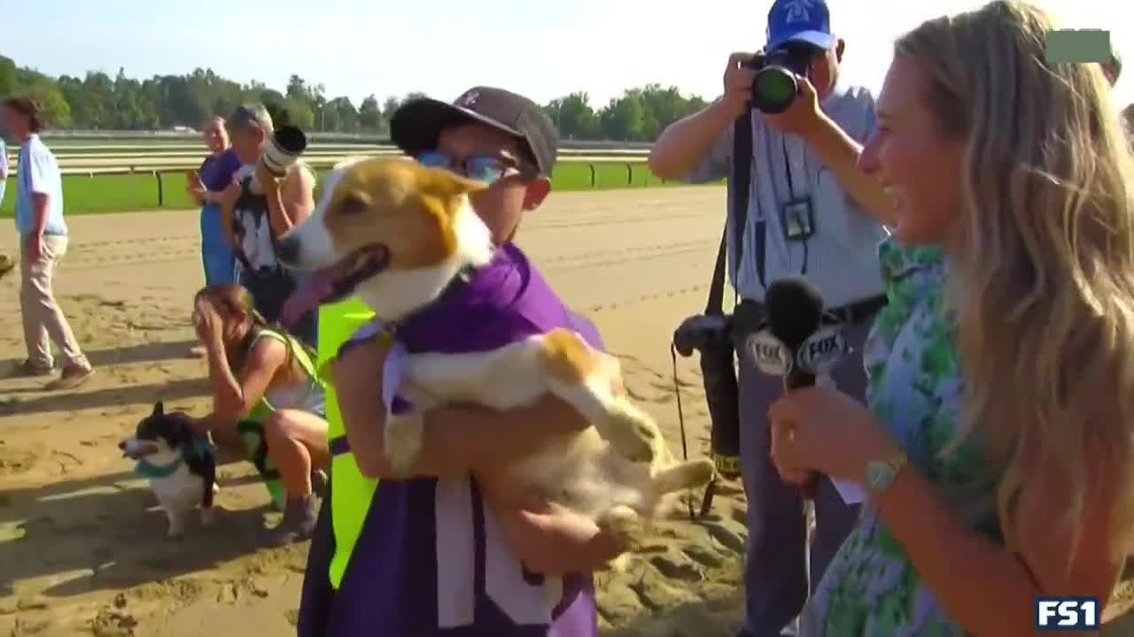 Competitors from northern New York, Vermont win big at first-ever Corgi Cup