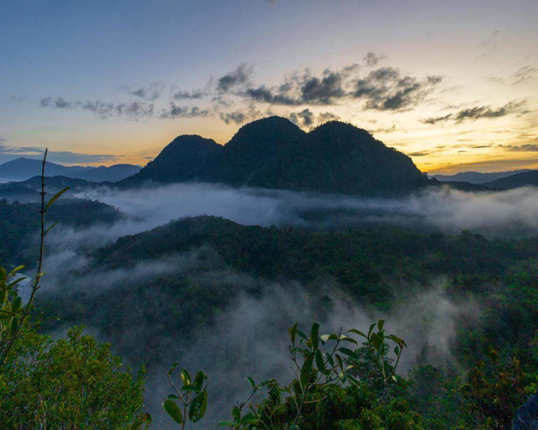 ‘Barking' on mountain leads to wrinkly ‘fanged' creature. It's a new ...