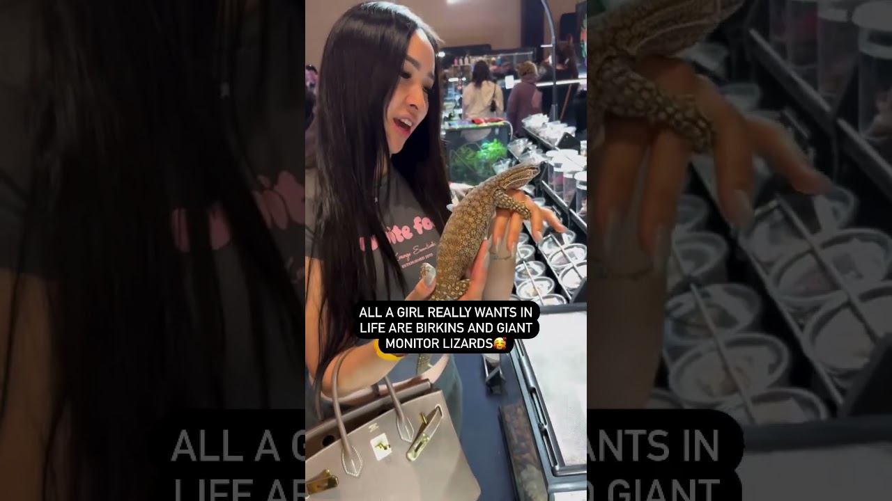 All a girl wants is a Birkin and a giant monitor lizard