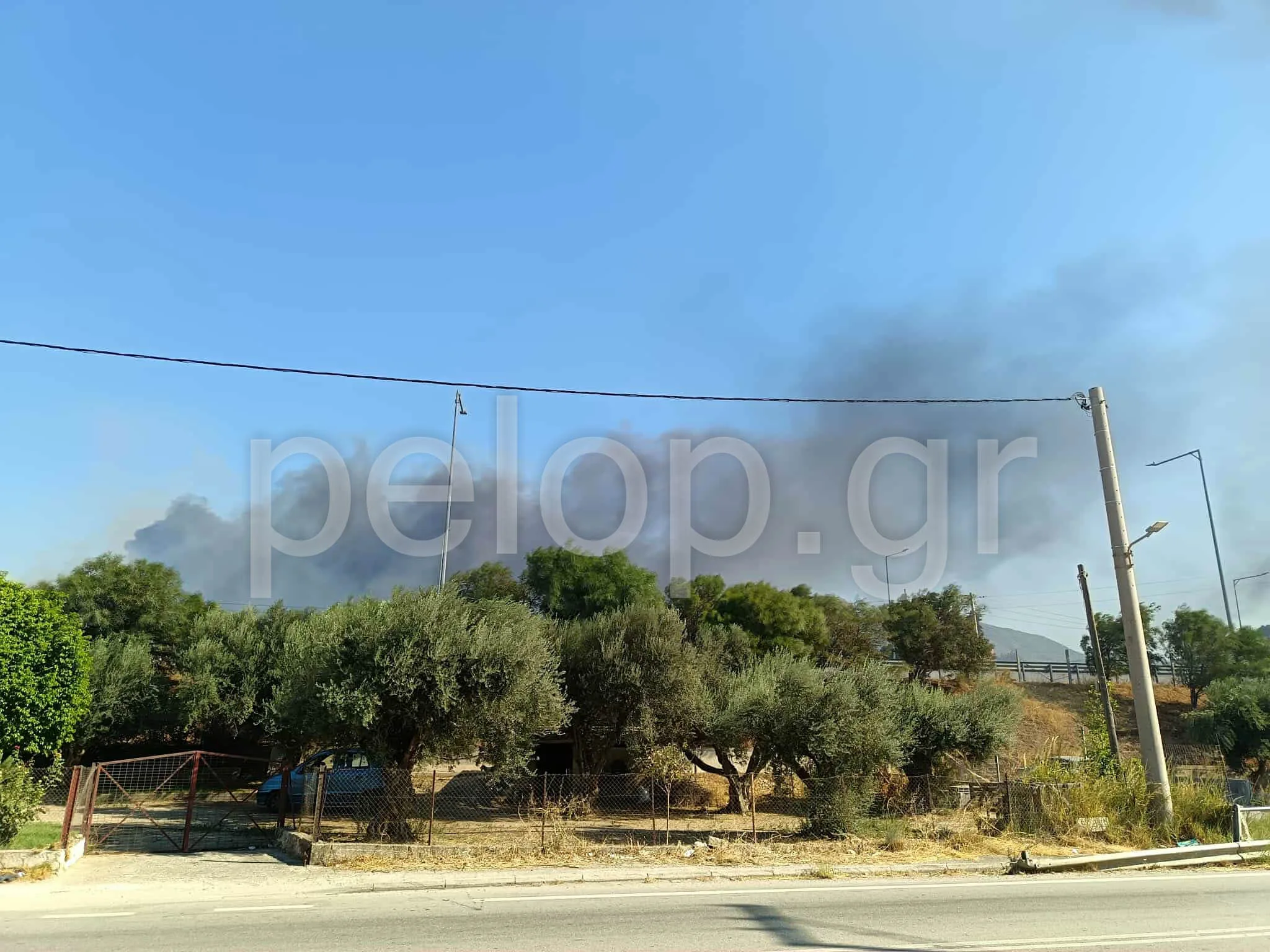 Πάτρα: Φωτιά ανάμεσα σε Αγιο Βασίλειο και Πλατάνι – Κάηκαν και ...