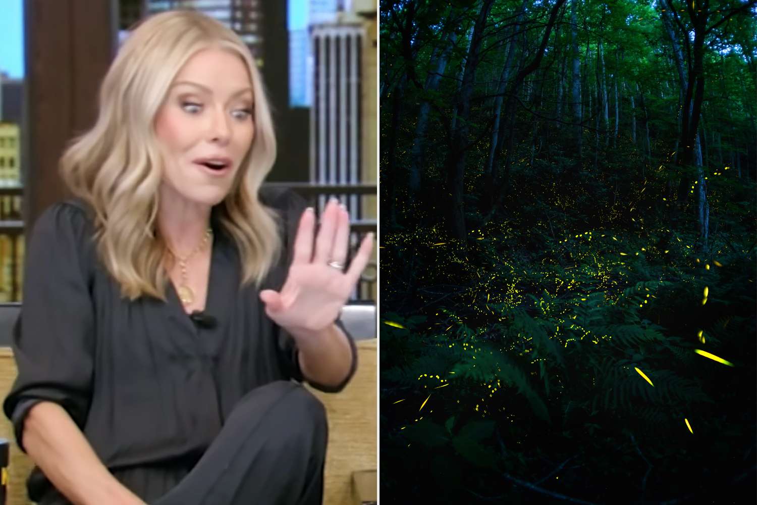 Kelly Ripa's grandfather used to kill fireflies, put abdomens on her ...