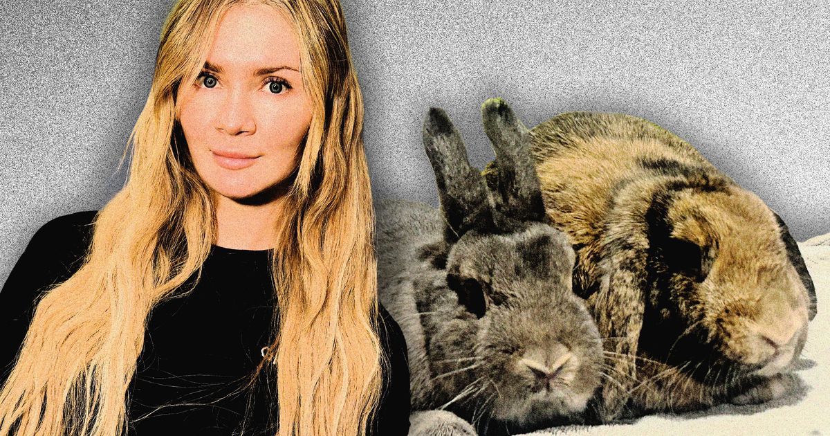 Anna Delvey and the Case of the 3 Missing Bunnies