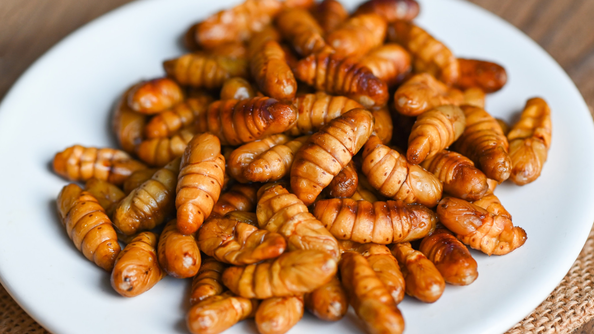 Acquired tastes: the weirdest foods in the world