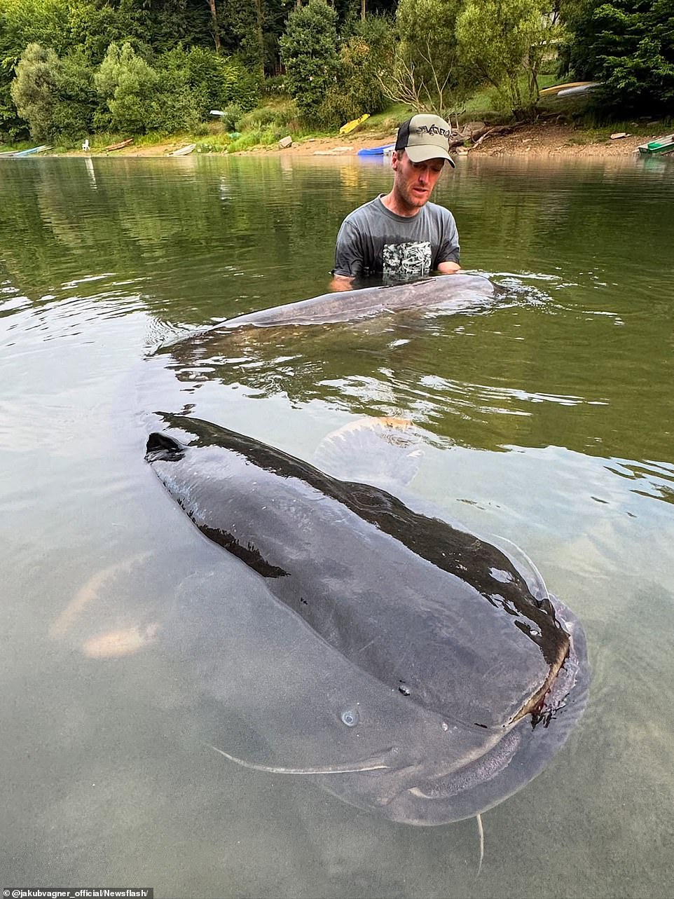 Angler battles for 50 minutes to land impresisve 9-foot catfish