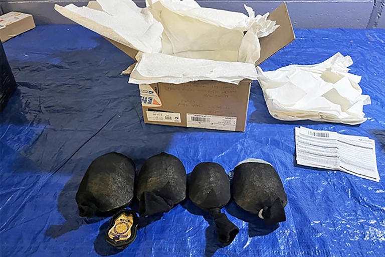 Man faces jail for smuggling turtles worth $1.4 million in socks to ...