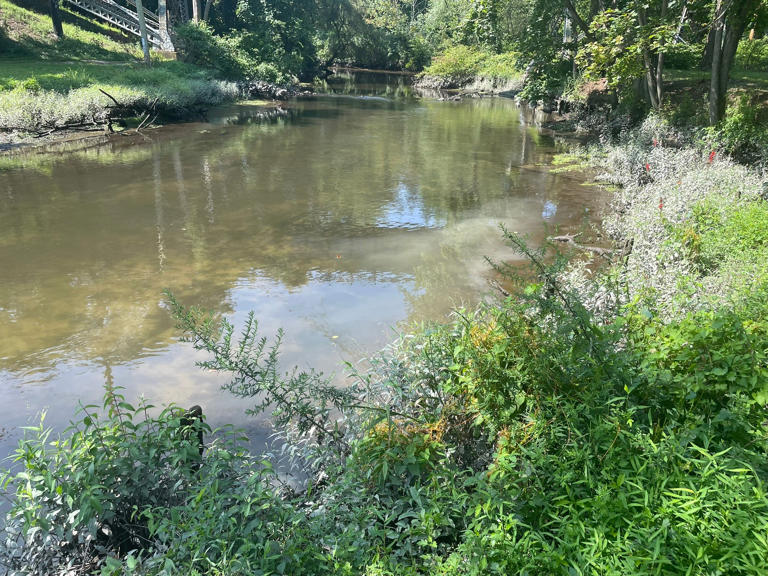 Discolored Water Seen In Nissequogue River After Underground Spring ...